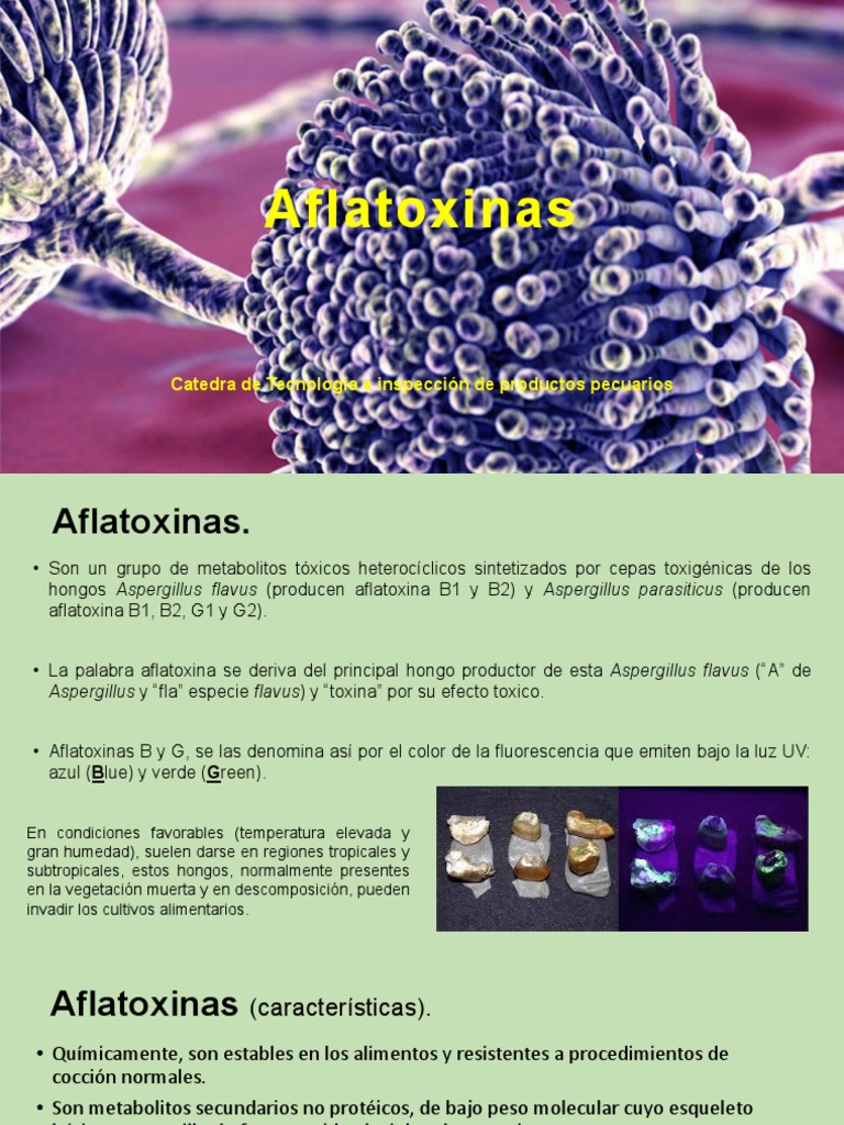 Aflatoxinas en Alimentos. | PDF | Especialidades Medicas
