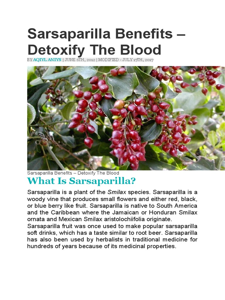 Sarsaparilla Benefits | PDF | Detoxification | Psoriasis