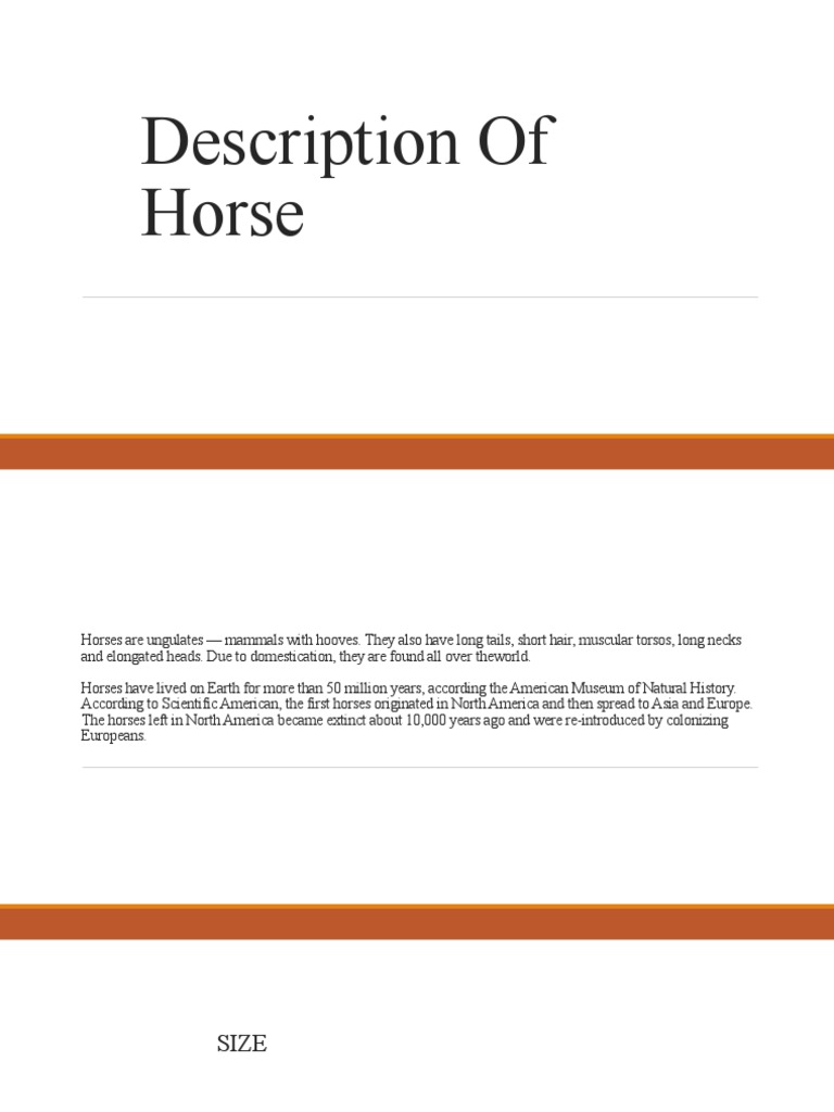 Report Animal | PDF | Horses | Equus (Genus)