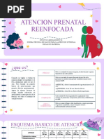 Control Prenatal GPC 2016 MSP | PDF | El embarazo | Parto prematuro