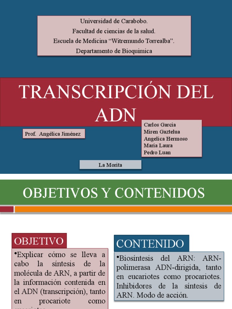 Transcripción Del ADN | PDF | Rna | Adn