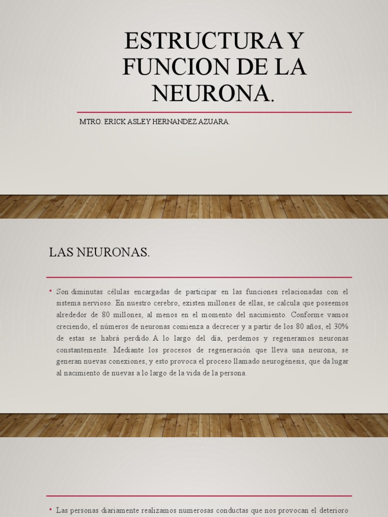 Tema 2 Estructura y Funcion de La Neurona | PDF | Cerebro | Neurona Tema 2 Estructura y Funcion de La Neurona | PDF | Cerebro | Neurona