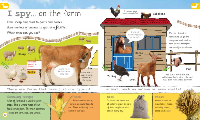 082-083 - I Spy On The Farm | PDF | Farms | Wheat