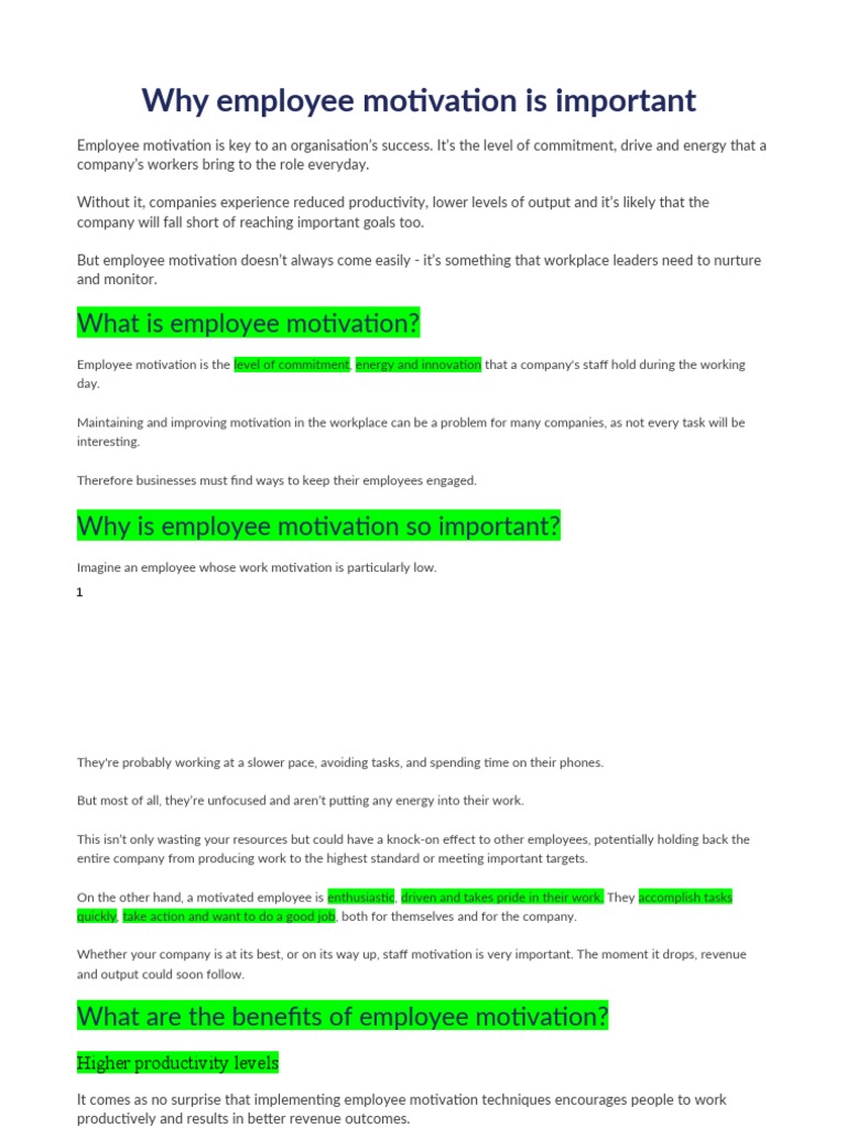 Why Employee Motivation Is Important | PDF | Employment | Motivational