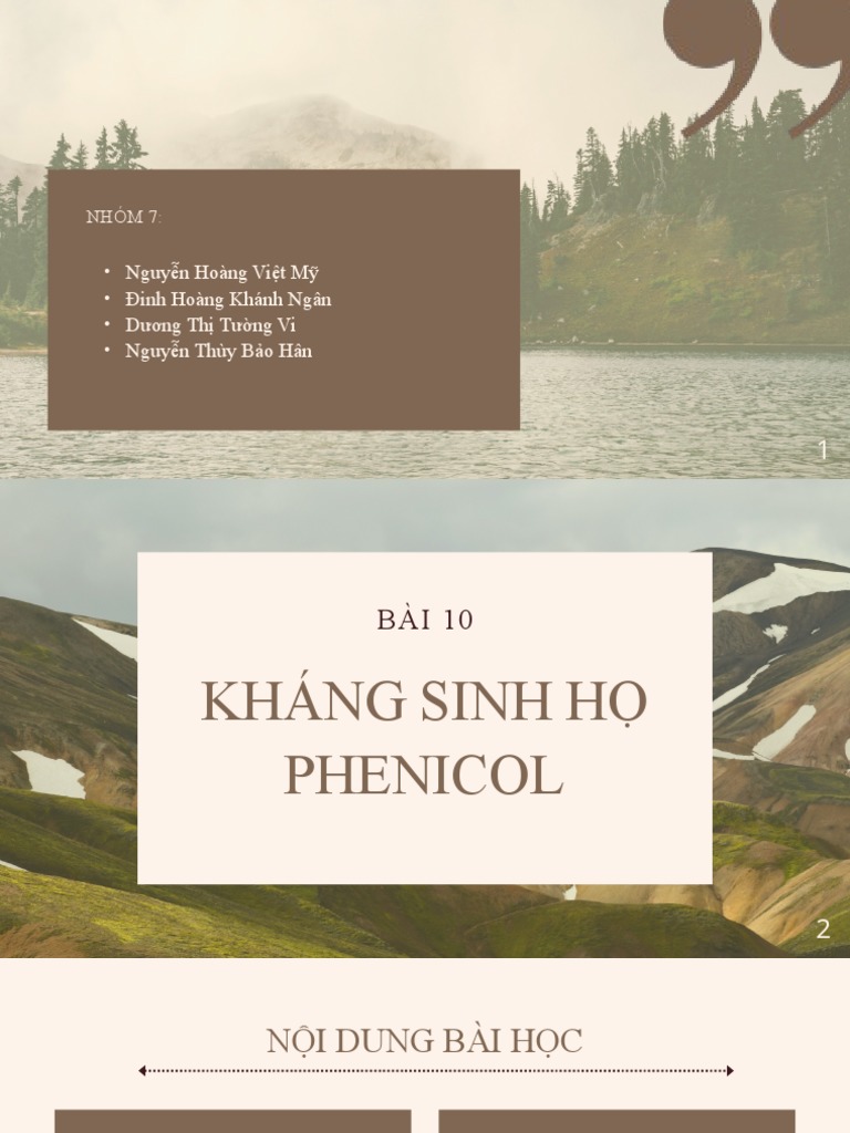 Kháng Sinh Họ Phenicol | PDF