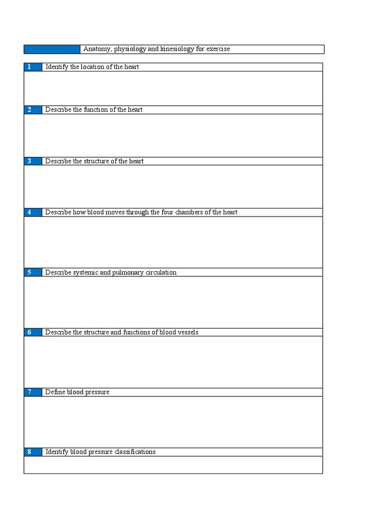 Anatomy, Physiology and Kinesiology Worksheet | PDF | Anatomical Terms Of Motion | Skeletal Muscle