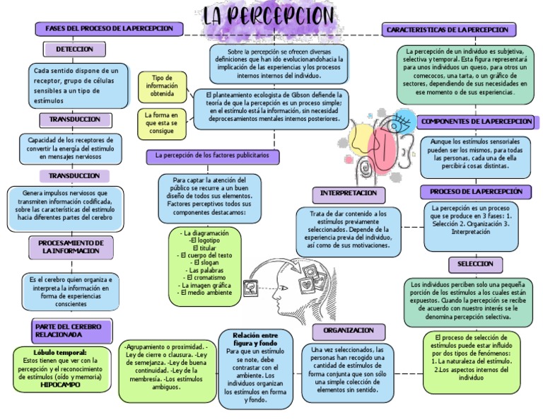 Mapa Conceptual Percepcion | PDF | Percepción | Cognición