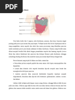 Mekanisme Penyerapan Di Usus Halus | PDF