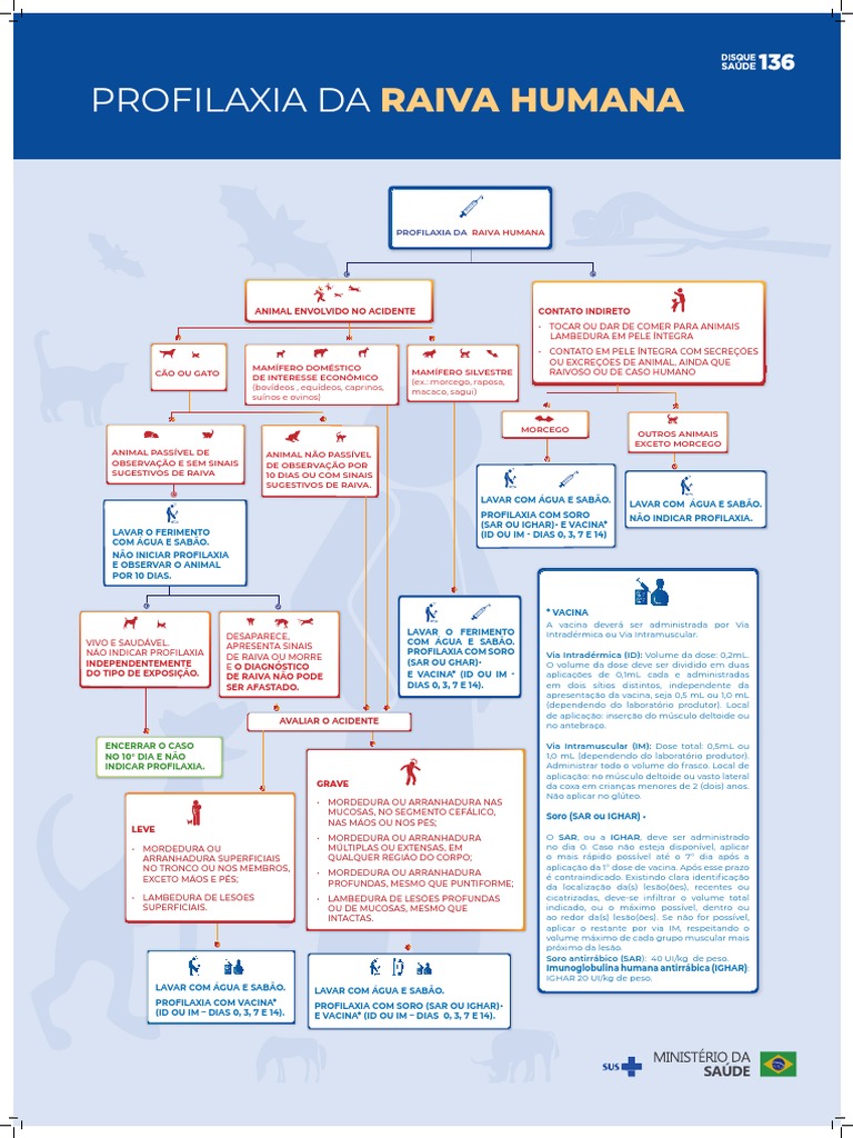 Cartaz Raiva-13-07-22-Final | PDF | Raiva | Especialidades médicas