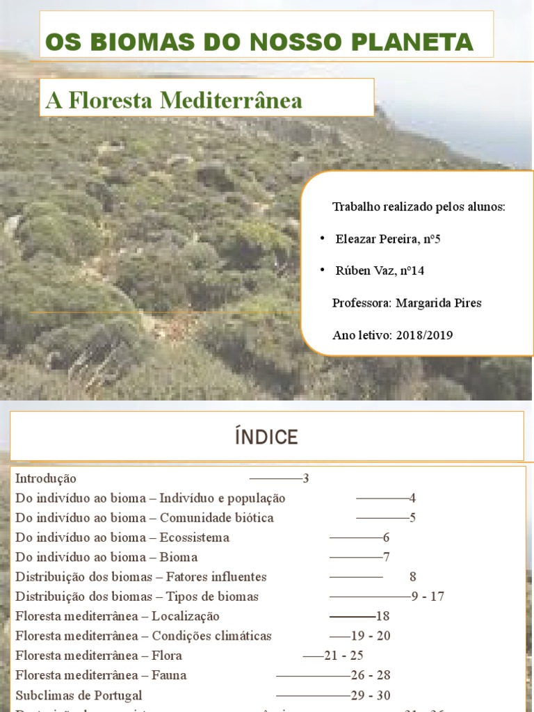 Os Biomas Do Nosso Planeta | PDF | Florestas | Ecossistema