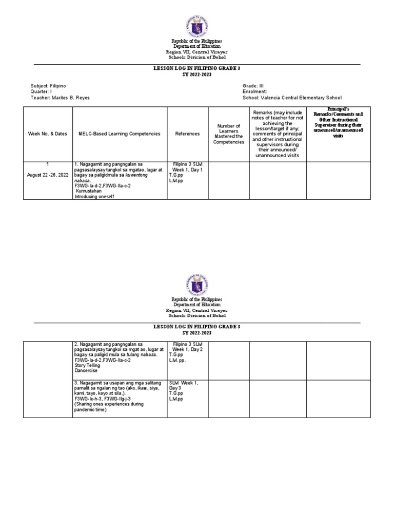 Grade 3 Filipino Daily Lesson Log | PDF | Government | Public ...