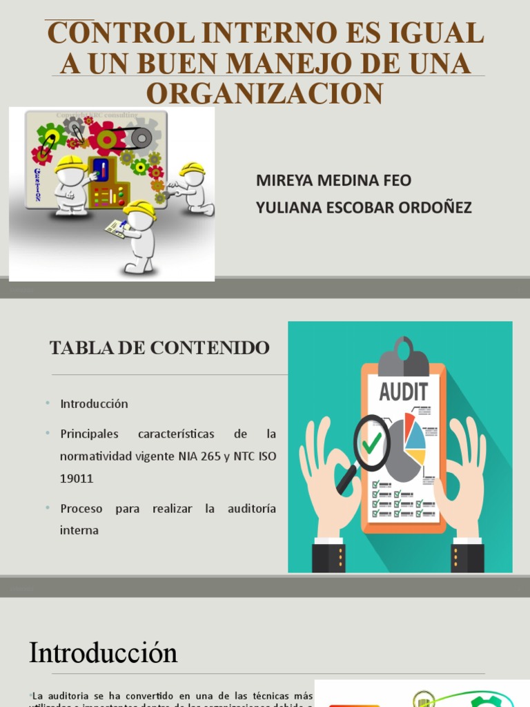 Control Interno Es Igual A Un Buen Manejo | PDF | Auditoría | Contralor