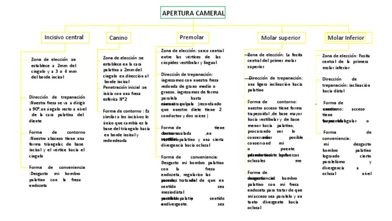 Apertura Cameral | PDF | Odontología | Ramas de Odontología