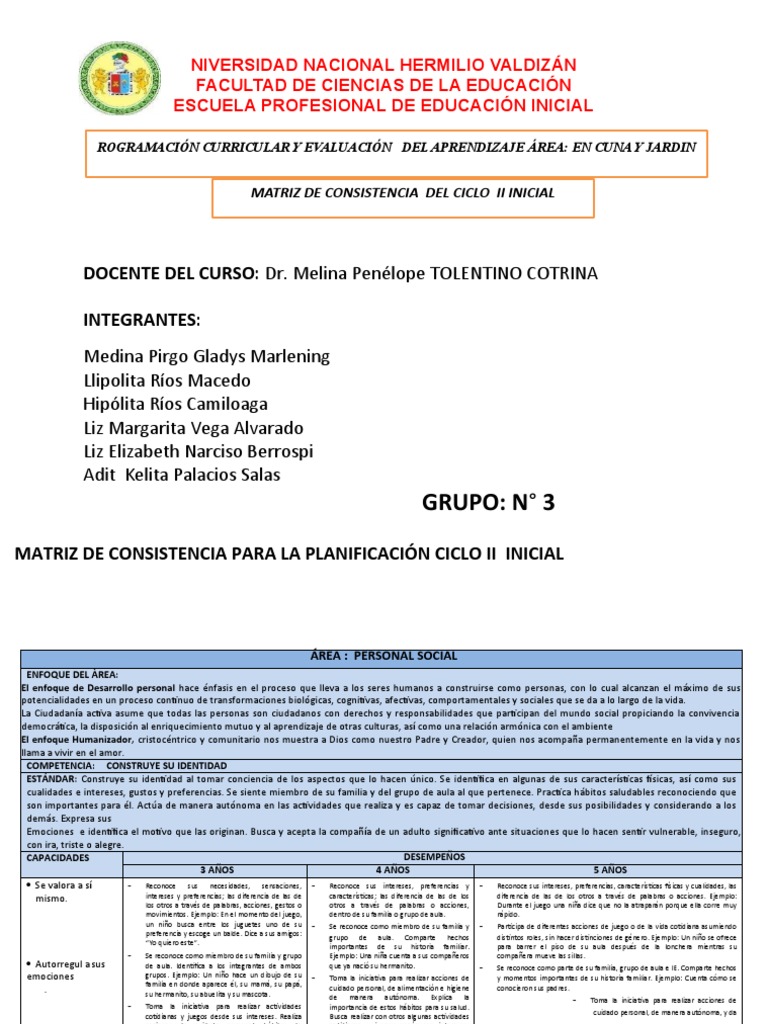 Matriz de Competencias - Ciclo II Inicial Grupo N 03 | PDF | Amor | Las emociones