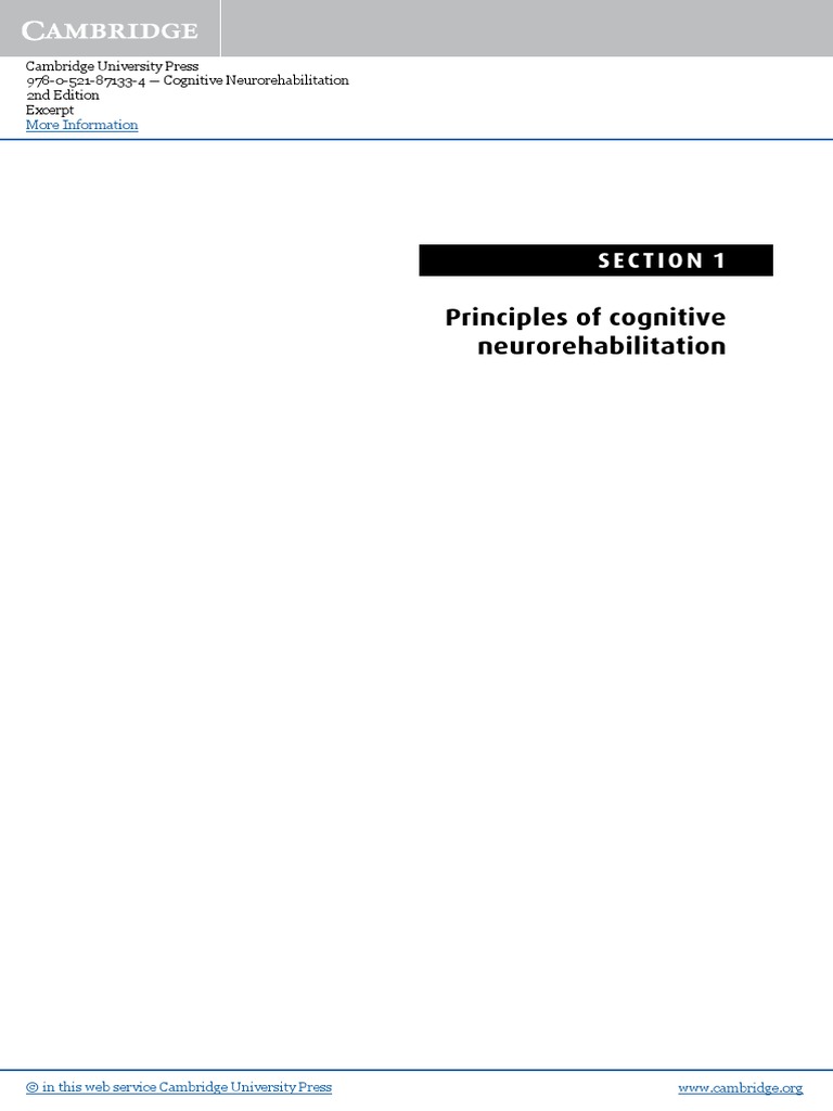 Principles of CogRehab | PDF | Visual Cortex | Neuroplasticity
