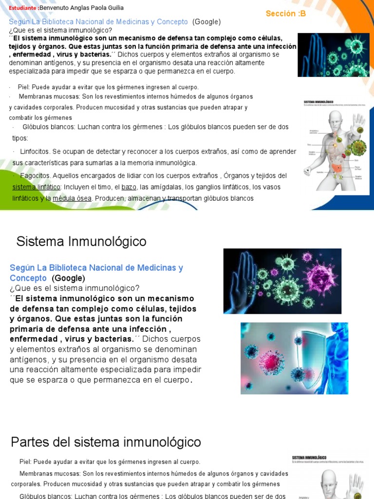 Sistema Inmune | PDF | Sistema inmune | Sistema inmune innato