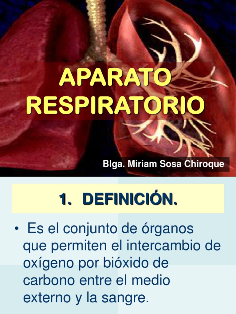Aparato Respiratorio Ades | PDF | Pulmón | Laringe