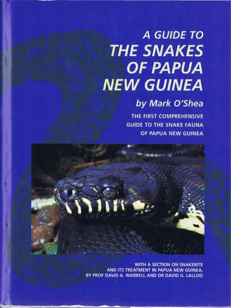 A Guide To The Snakes of Papua New Guinea | PDF | Herpetology