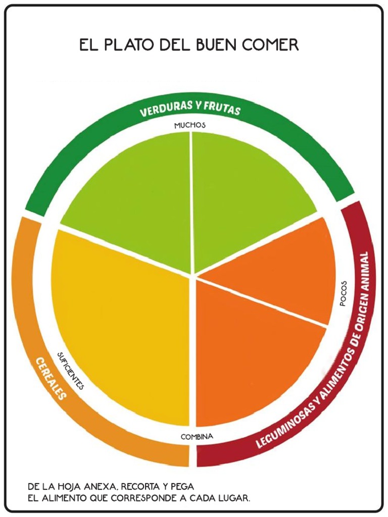 Plato Del Buen Comer | PDF