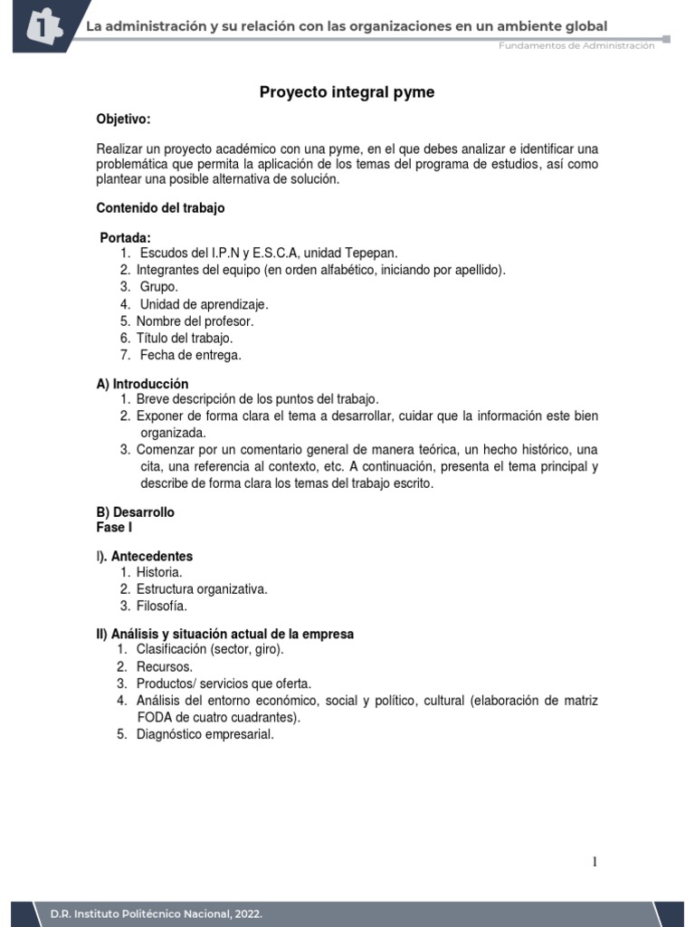 Proyecto Integral Pyme | PDF | Planificación | Análisis FODA