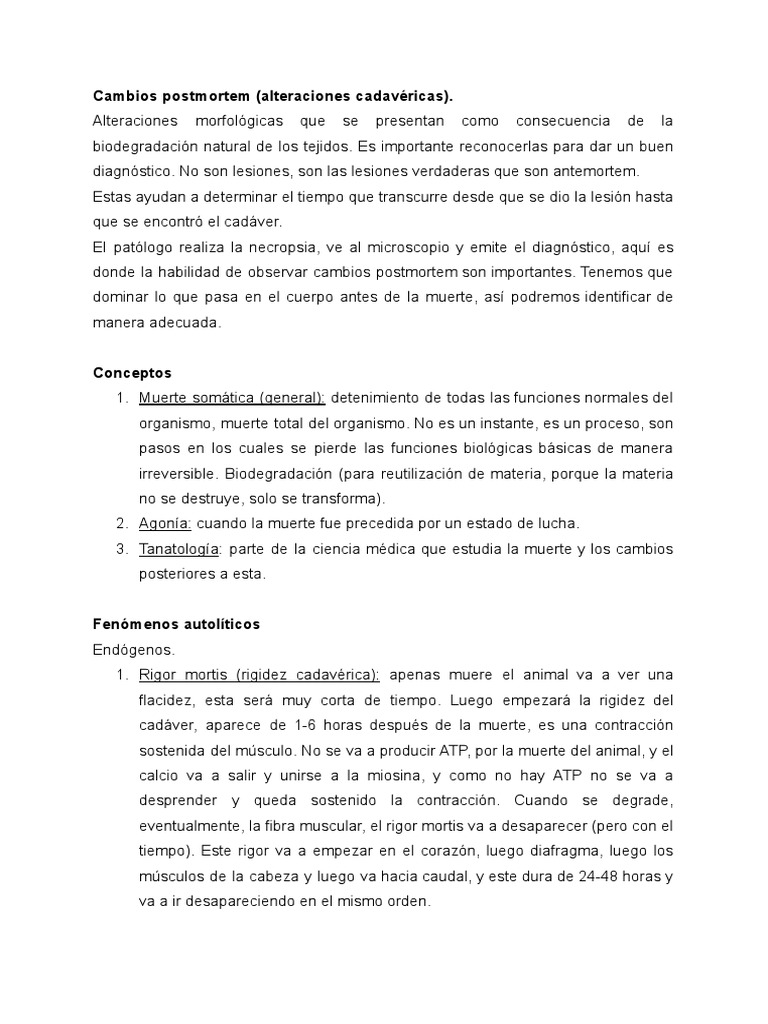 Alteraciones Post-Mortem, Necropsia y Muestras | PDF | Corazón | Cráneo