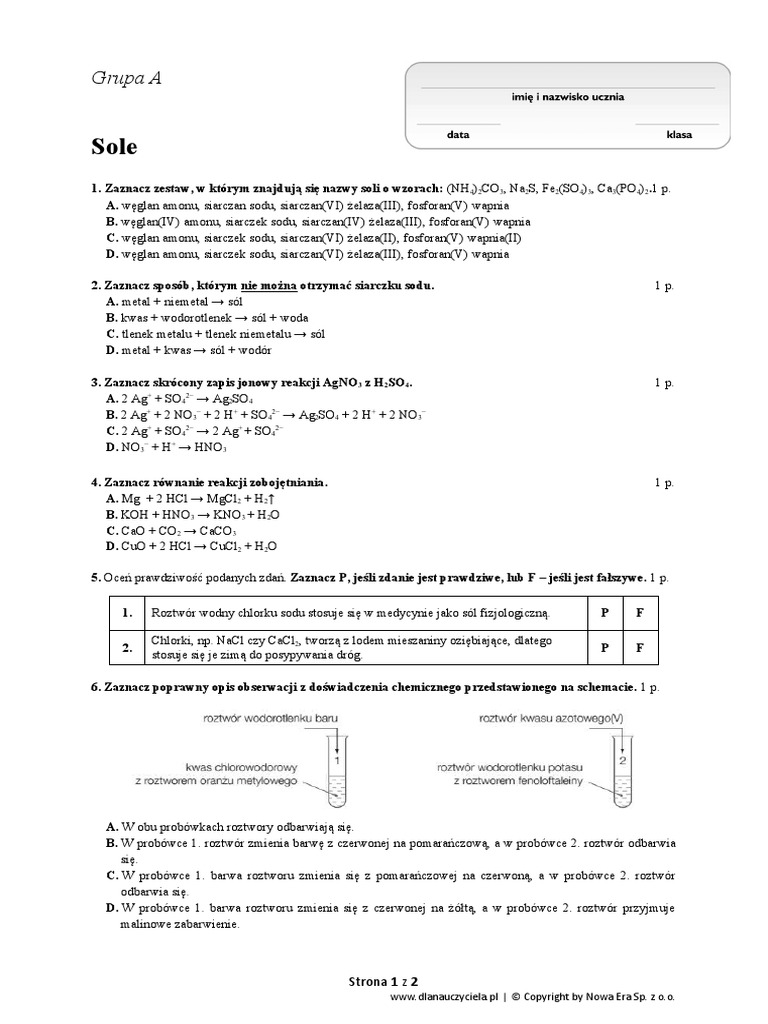 Sprawdzian 2 Sole Grupa A | PDF