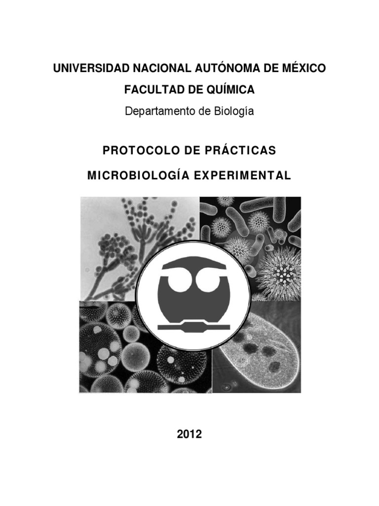 Protocolo de Microbiología UNAM | PDF | Tinción | Las bacterias