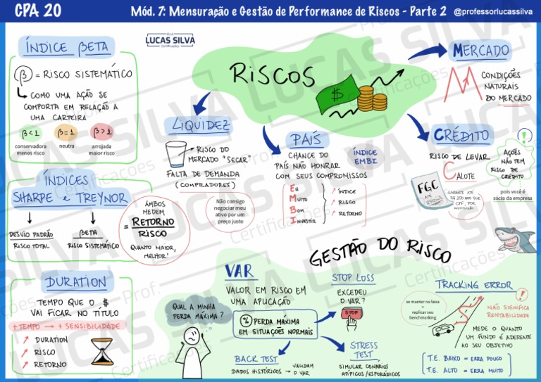 Mapa Mental Cpa 20 Mod7 p2 Lucas Silva | PDF
