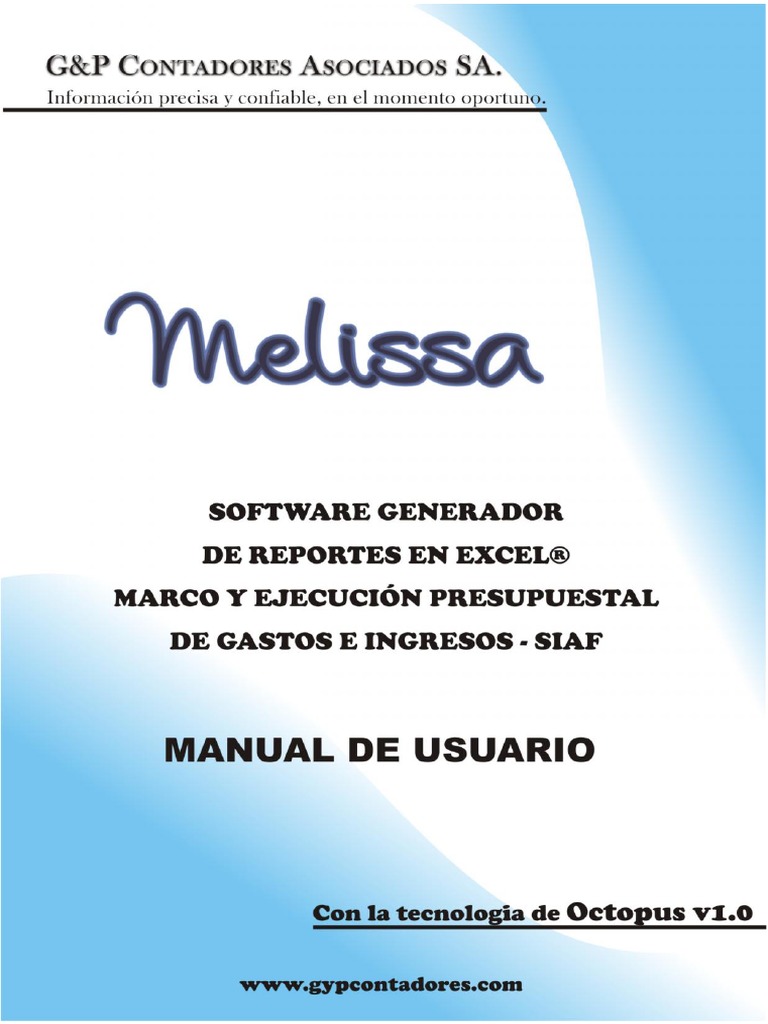 Manual Melissa v1.0 | PDF | Microsoft Excel | Archivo de computadora