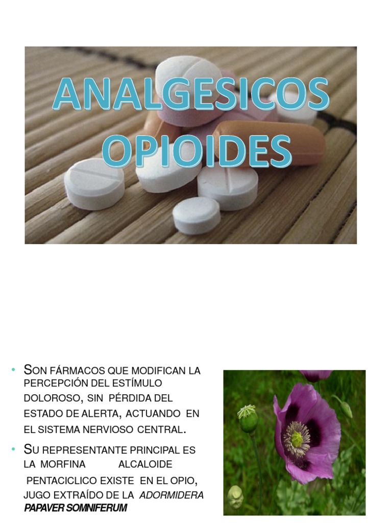 Analgesicos Opiaceos | PDF | Opioide | Naloxona
