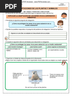 Adaptaciones de Las Plantas | PDF