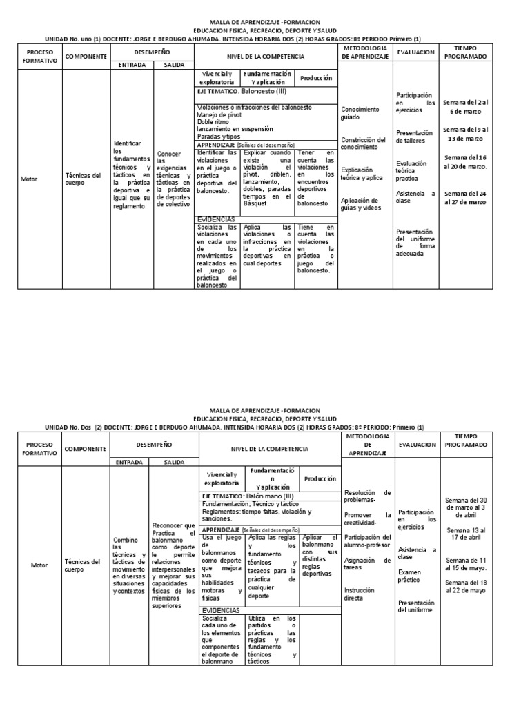 Malla de Aprendizaje Grado 8° | PDF | Evaluación | Vóleibol