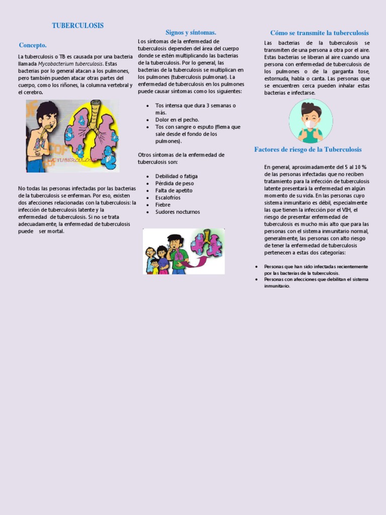 Folleto Tuberculosis | PDF | Tuberculosis | Ciencias de la Salud