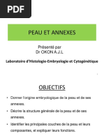Anatomie du Corps Géniculé Latéral | PDF | Système visuel | Vision