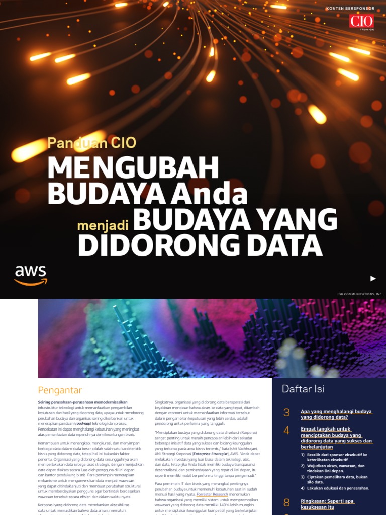 Panduan Data untuk CIO | PDF