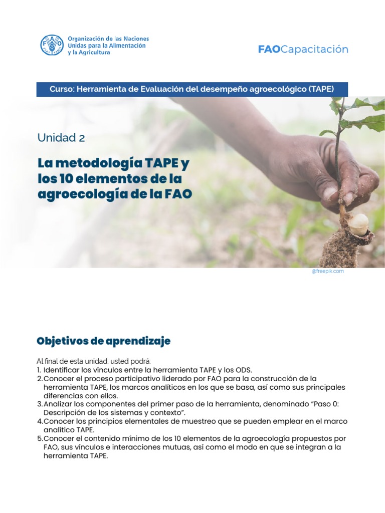 Metodología TAPE y agroecología FAO | PDF | Muestreo (Estadísticas ...