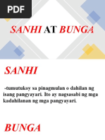Sanhi at Bunga Activities | PDF