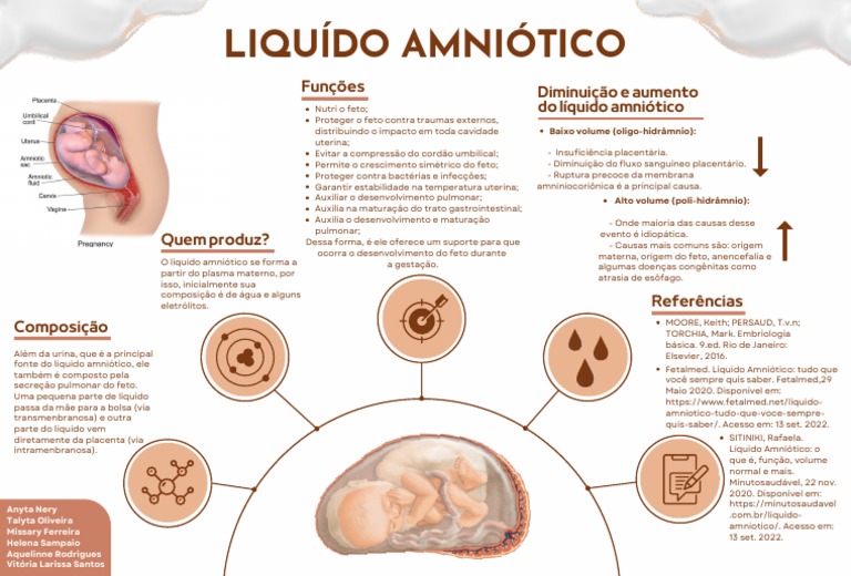 Líquido Amniótico | PDF | Placenta | Anatomia