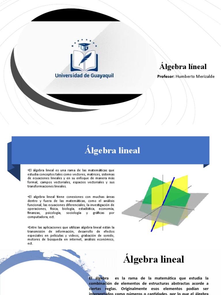 Alg. Lineal | PDF | Álgebra lineal | Campo (Matemáticas)