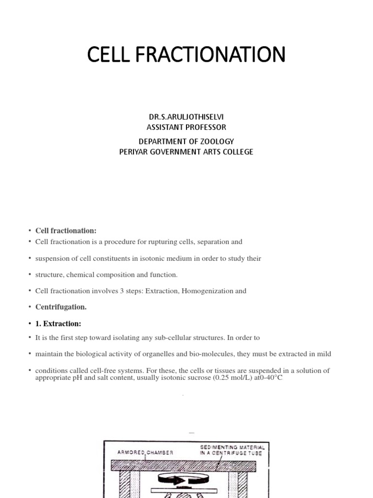 Cell Fractionation | PDF | Centrifugation | Centrifuge