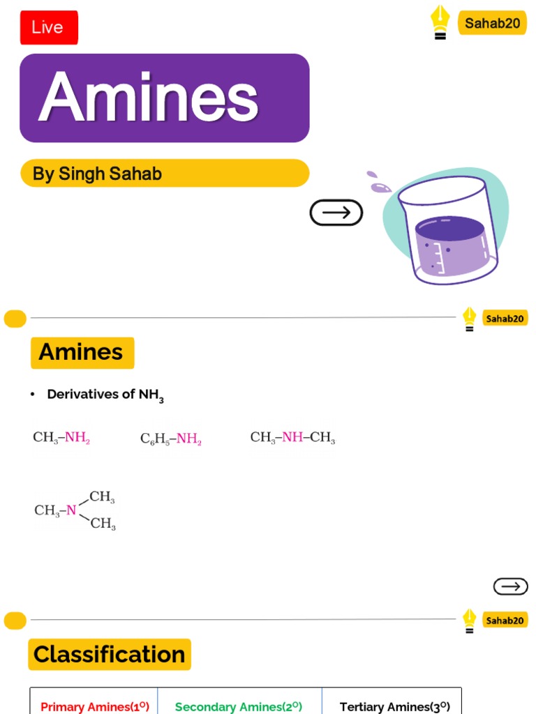 Amines Notes | PDF