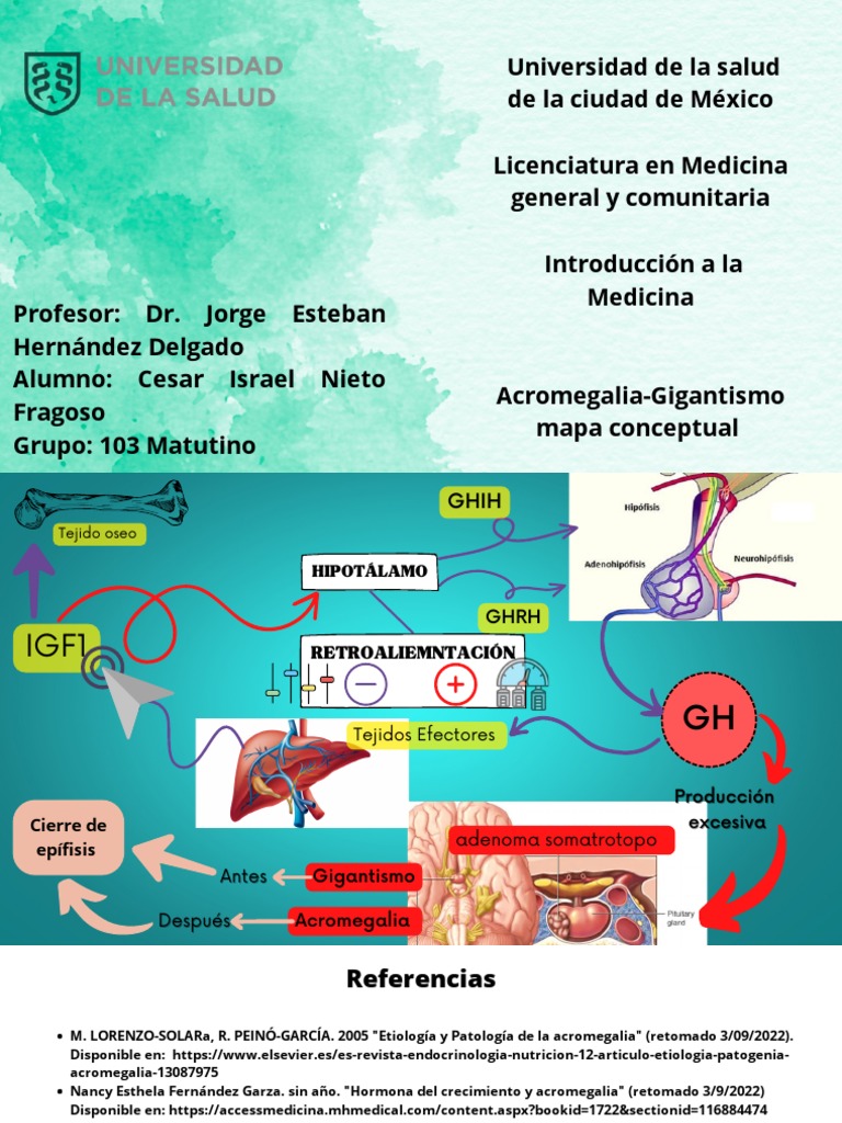 IM - S5 - ACT7 - Nieto - Fragoso - Cesar Israel. | PDF | Relaciones ...