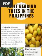 Endangered Animals in the Philippines | PDF