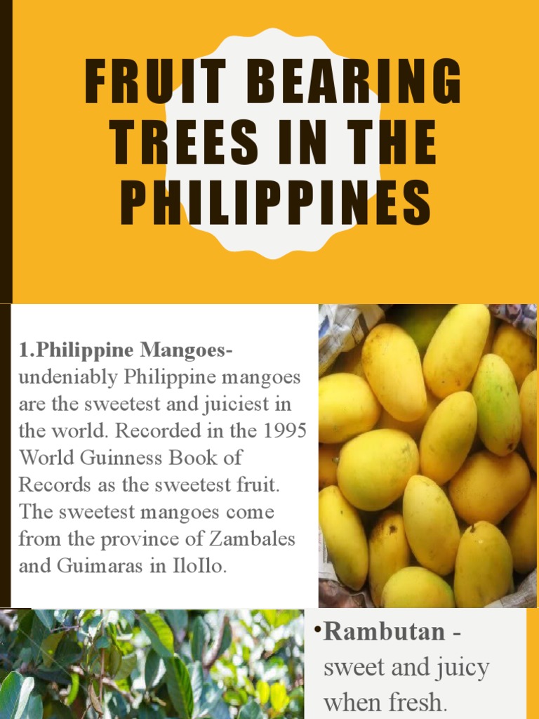 3. Fruit Bearing Trees | PDF