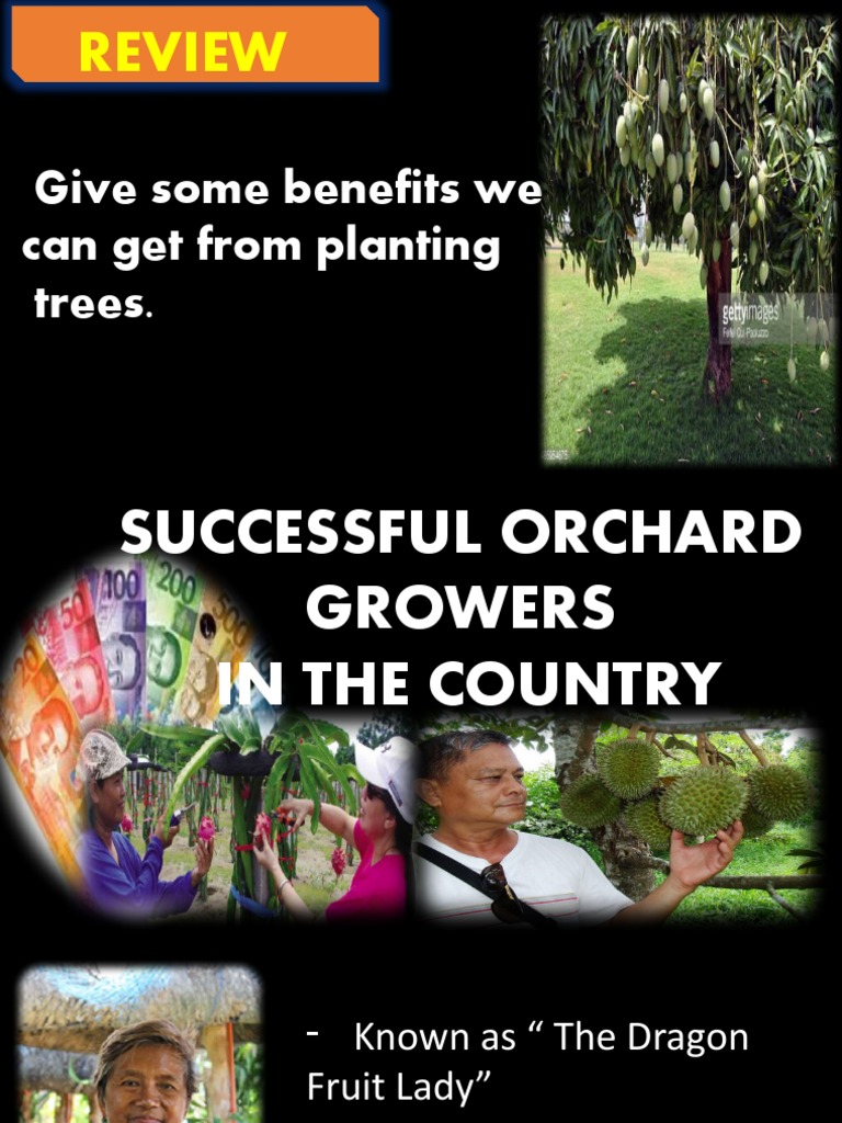 Successful Orchard Grower | PDF