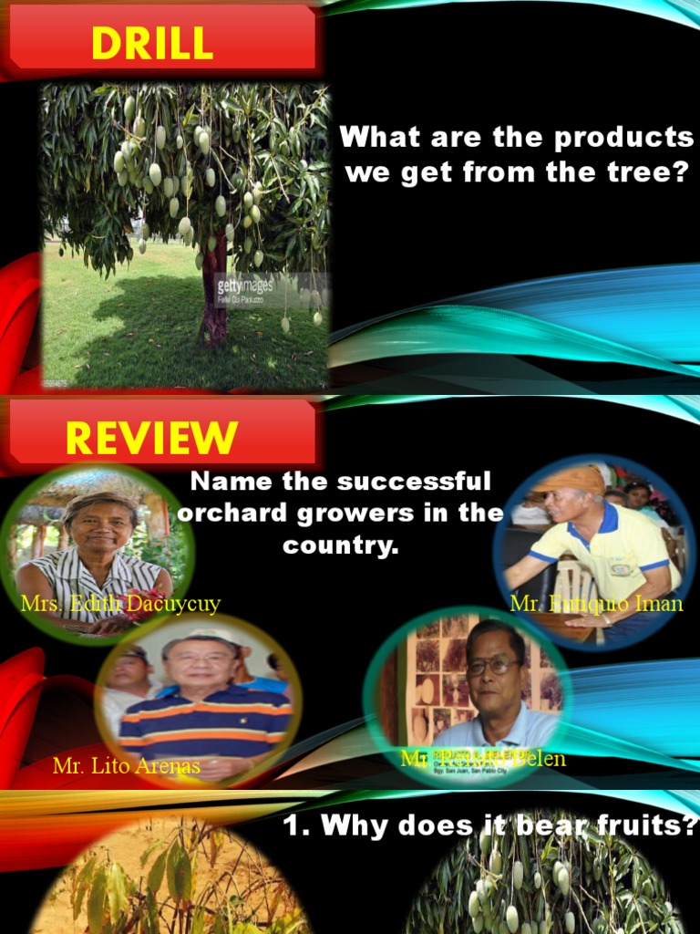 Elements Observed and Sources of Trees | PDF | Fruit | Food Ingredients