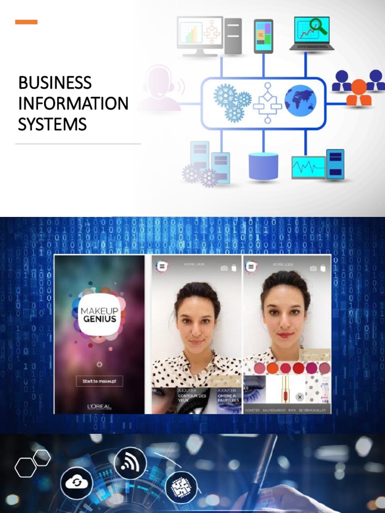 Business Information Systems | PDF | Enterprise Resource Planning | Information System