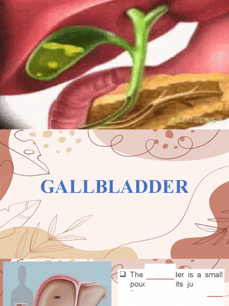 LSPU | PDF | Gallbladder | Bile