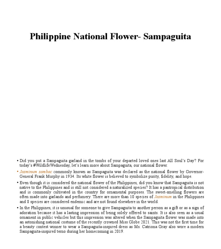Philippine National Flower - Sampaguita | PDF