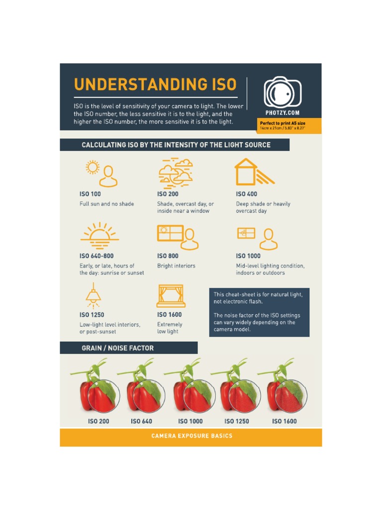 Understanding ISO | PDF
